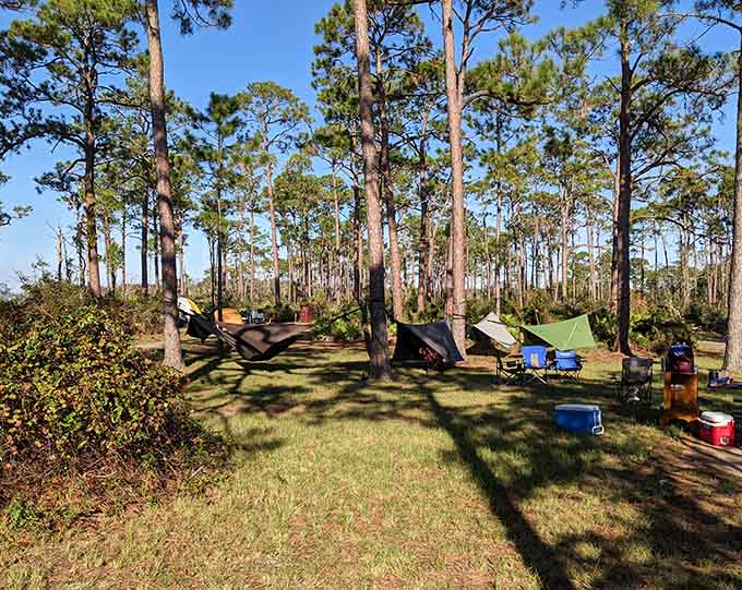 Primitive camping areas offer youth groups the chance to sleep under stars that actually shine without light pollution.