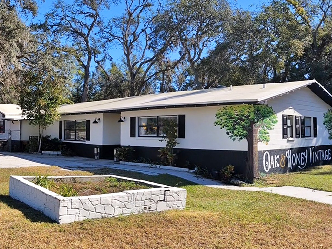Oak & Honey Vintage occupies a charming white cottage, offering carefully curated treasures that tell stories of Florida's colorful past.