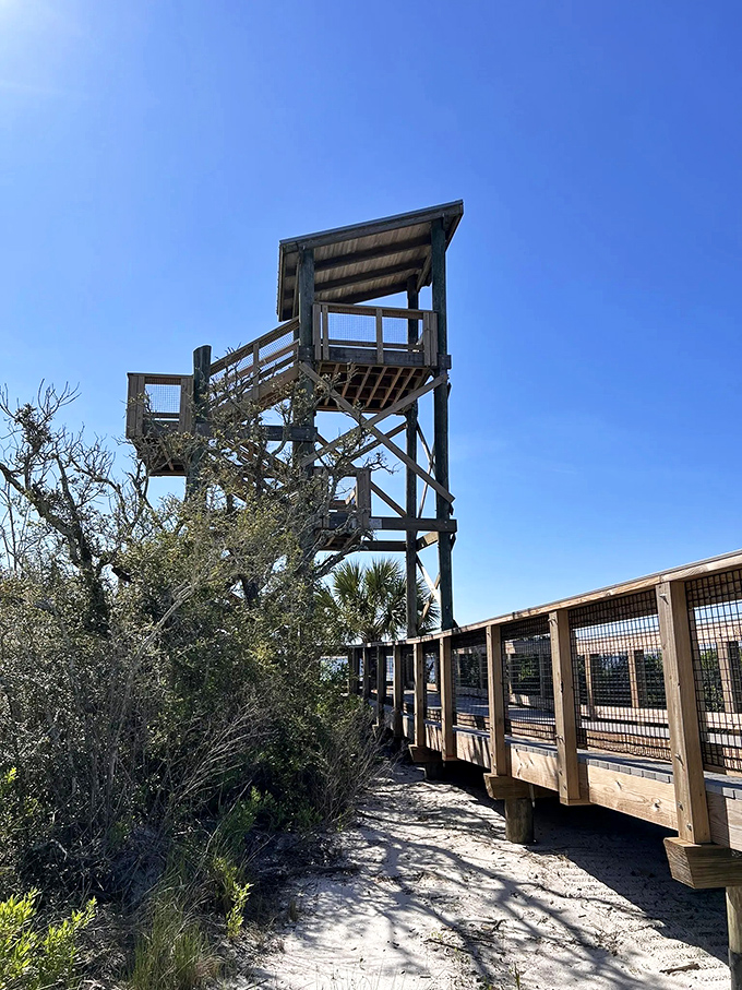 Climb to cloud level at this observation tower where panoramic views reward your effort and remind you how small we are in nature's grand design.