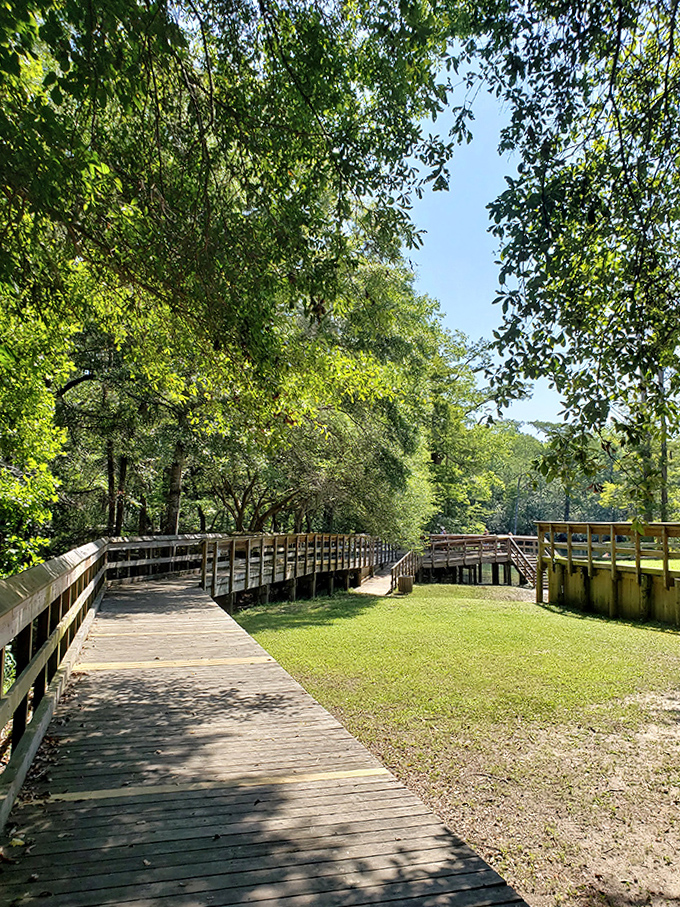 Wooden walkways connect different viewing areas, making this natural wonder accessible while preserving its pristine condition.