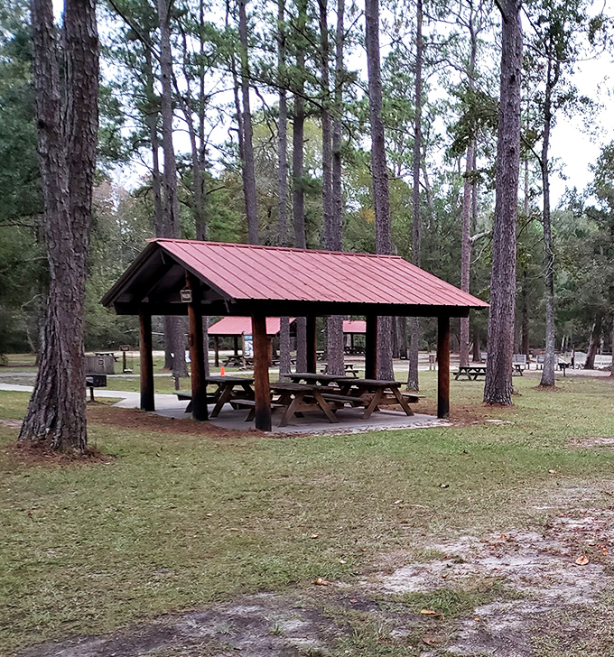 A rustic pavilion awaits your family gathering, the perfect home base for a day of swimming and exploring.