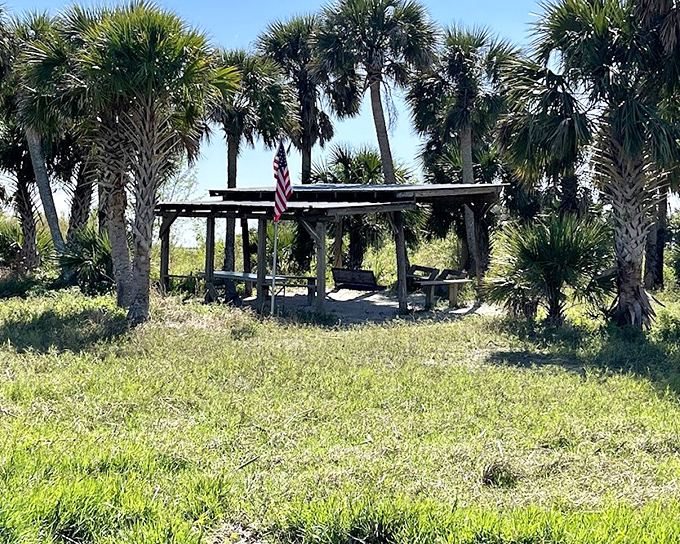 A shaded oasis among the palms offers weary explorers a perfect picnic spot after a morning of wildlife watching.