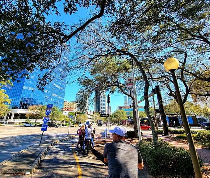 Downtown connections bring urban energy to the trail experience, where glass buildings reflect blue skies and remind you that civilization has its perks too.