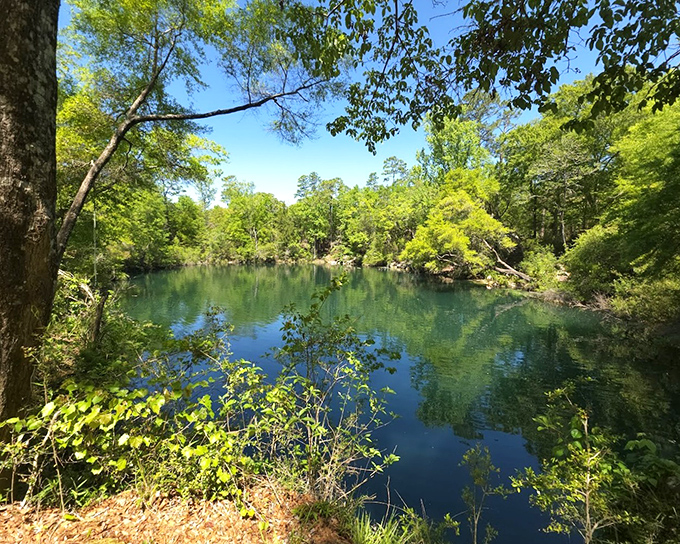 The river's emerald waters hold secrets from centuries past, flowing with the same serene confidence as they did when mastodons roamed nearby.