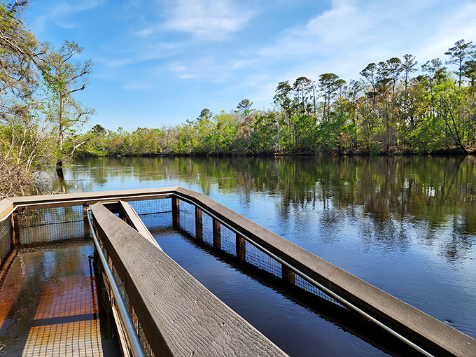 The river stretches beyond the spring, offering adventures that continue long after the initial "wow" moment of arrival.