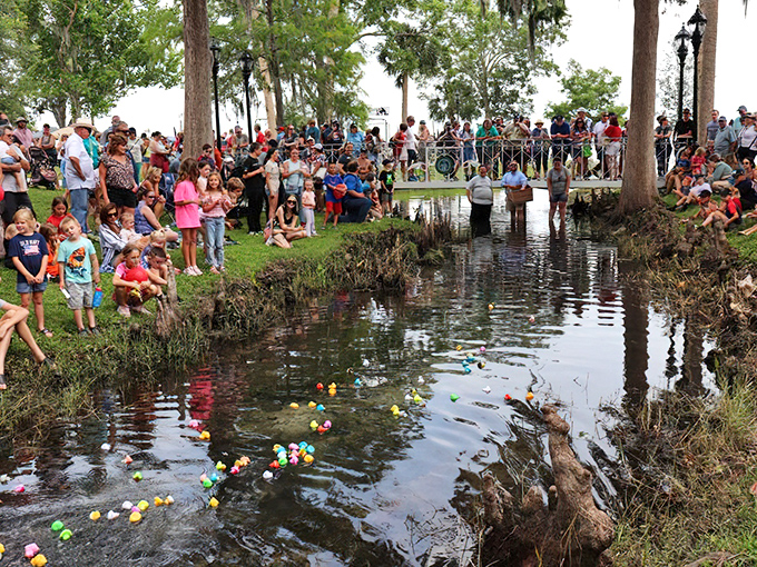 Riverfest: The annual rubber duck race draws crowds to Spring Run – competitive spirit runs high as these yellow racers float toward glory.