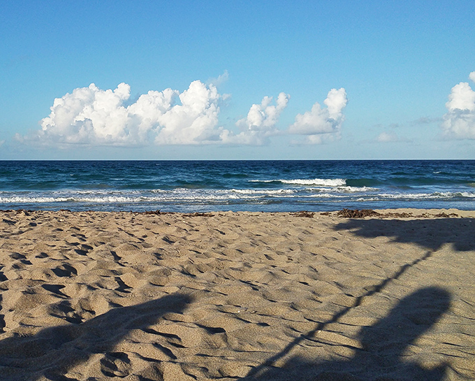 Footprints disappear quickly on Hutchinson Island's beaches, where the Atlantic constantly refreshes the sand like nature's own cleaning service.