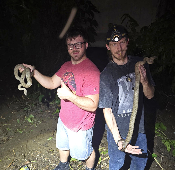 Nighttime snake hunting transforms ordinary trails into thrilling safaris where flashlights reveal scaled treasures hidden by darkness.