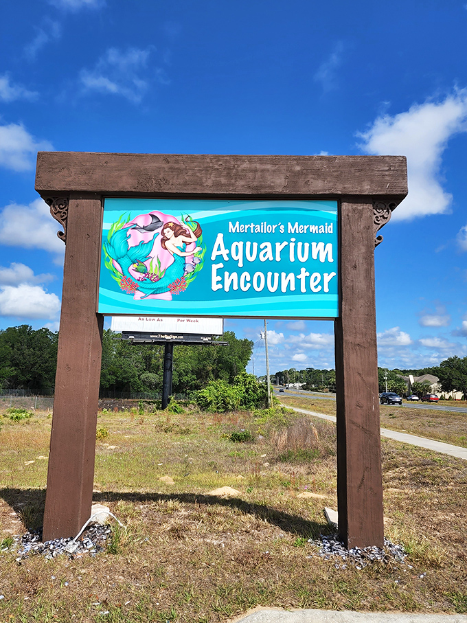 The roadside sign promises underwater magic &ndash; like a treasure map for those seeking mermaids instead of mundane Florida attractions.