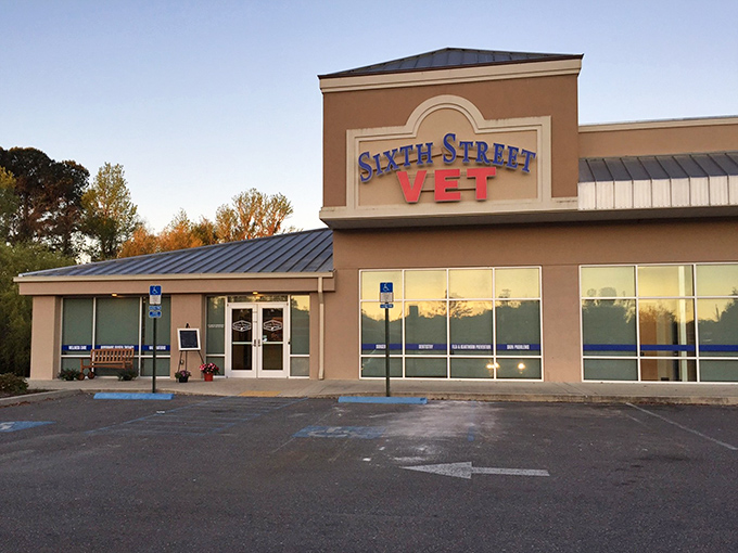 Sixth Street Veterinary Hospital &ndash; where your pet isn't just a patient but practically family, complete with its own Christmas card list.