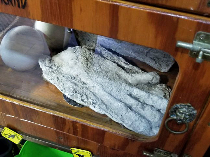 Evidence or elaborate hoax? This Skunk Ape footprint casting invites visitors to draw their own conclusions about Florida's favorite cryptid.