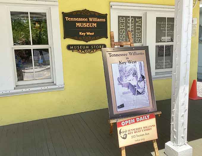 The front entrance area sets the tone perfectly, with its museum store and welcoming displays inviting you to begin your journey into Williams' world.