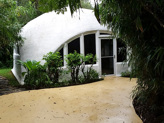 From another angle, the dome structure's integration with its environment becomes even more apparent, architecture and nature in perfect conversation.