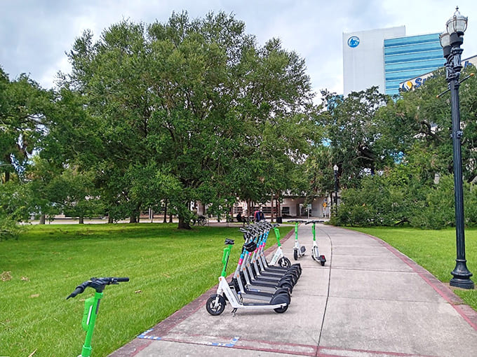 Modern transportation meets ancient nature, proving Jacksonville knows how to blend old and new perfectly.