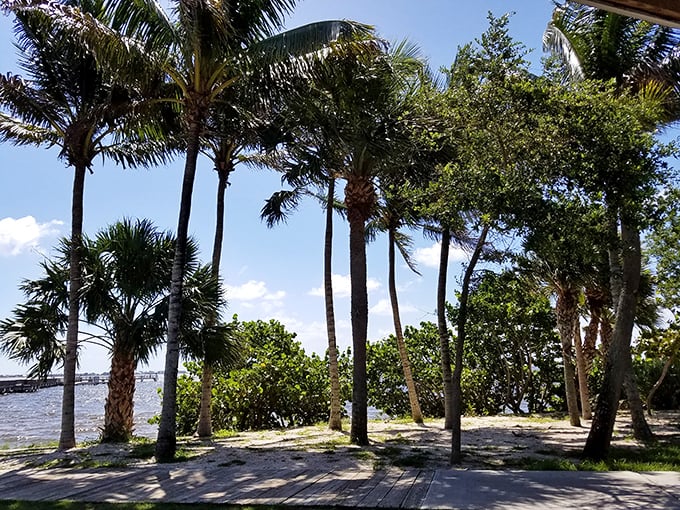 Towering palms create nature's colonnade along the shoreline, their slender trunks framing postcard-worthy views of the sparkling lagoon beyond.