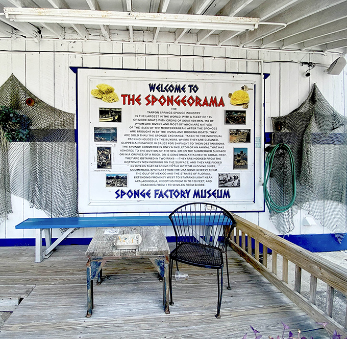 The welcome sign offers a crash course in sponge biology and history, setting the stage for the educational journey that awaits.