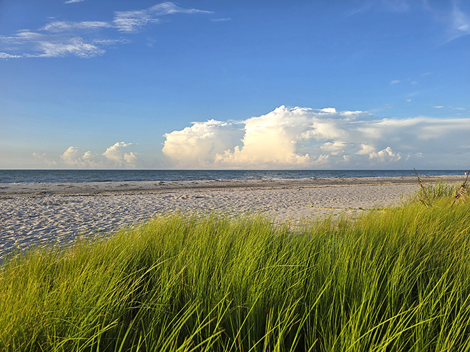 Wide shot of the beach: Miles of undeveloped shoreline prove that sometimes the best beachfront development is no development at all.