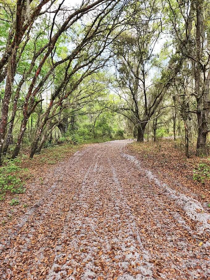 Nature trails that wind through Florida's wild side like a choose-your-own-adventure book come to life.