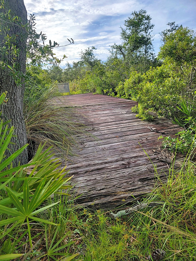 This boardwalk has hosted more meaningful conversations and life epiphanies than any therapist's couch &ndash; and charges considerably less.