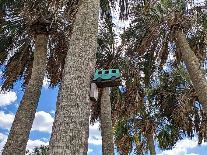 Whimsical touches like this tiny turquoise bus perched in the trees add unexpected charm to the natural landscape.
