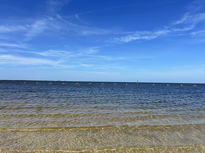 Crystal clear shallows that transition to deeper blues&mdash;nature's version of an ombr&eacute; effect that no Instagram filter could improve upon.