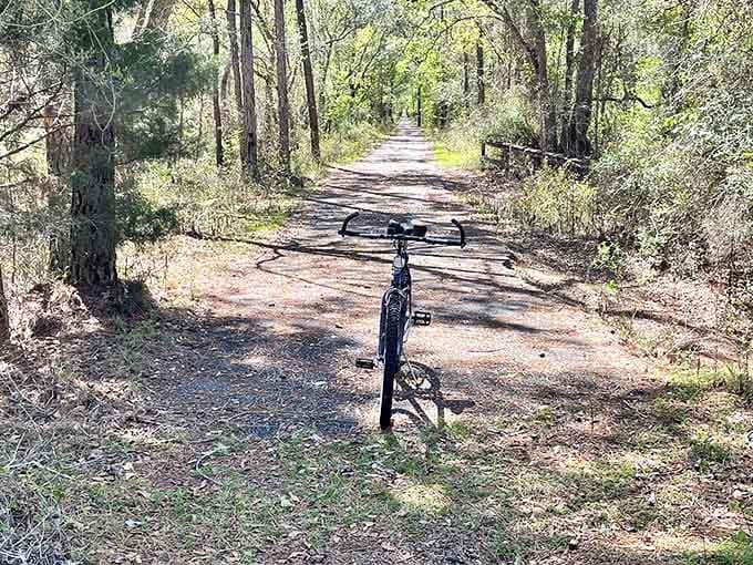 A solitary bicycle waits patiently on the trail, its rider likely captivated by some nearby natural wonder.
