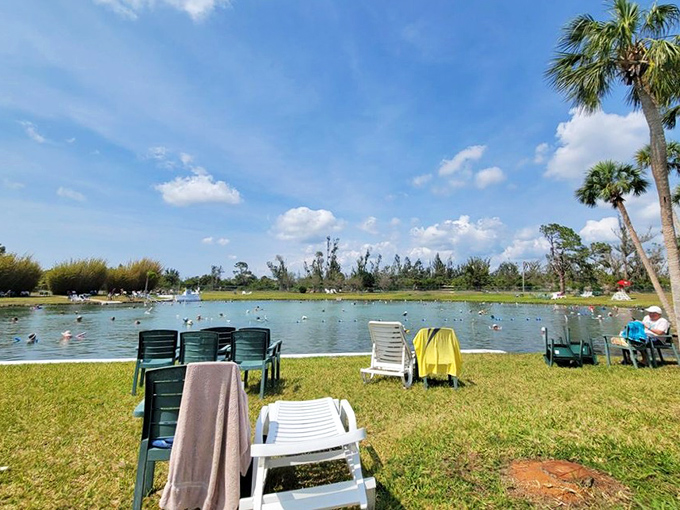 Empty chairs face the water in silent anticipation, each one a front-row seat to nature's most relaxing show.