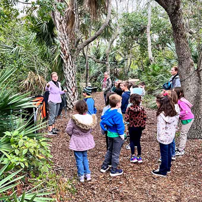 Guided nature walks reveal secrets you'd miss on your own, turning ordinary plants and animals into fascinating characters with incredible stories.