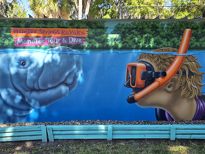 Vibrant artwork captures the essence of Hunter Springs' main attraction: the magical underwater encounters with Florida's beloved sea cows.