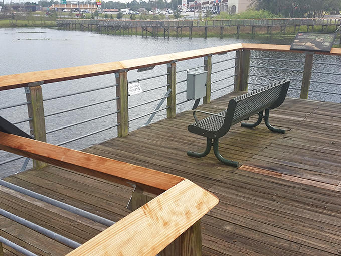 This observation deck isn't just a viewing platform – it's nature's version of box seats without the premium pricing.