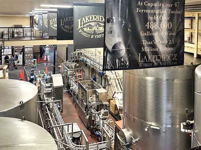 Behind the scenes where science meets art – massive stainless steel tanks transform humble grapes into award-winning wines with precision and care.