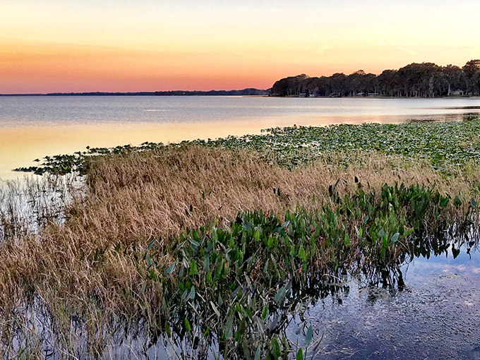 Golden hour transforms Lake Harris into liquid amber, where the sky and water conspire to create the perfect Florida moment.