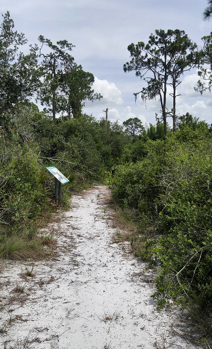 Sandy trails beckon adventurers into the scrub, promising discoveries that won't make headlines but might just change your perspective forever.
