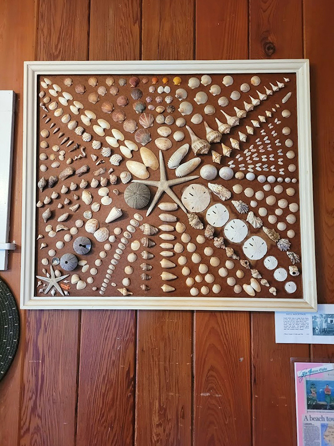 Shell collectors, prepare to swoon! This meticulously arranged sailor's valentine showcases the artistic potential of treasures found along the shoreline.