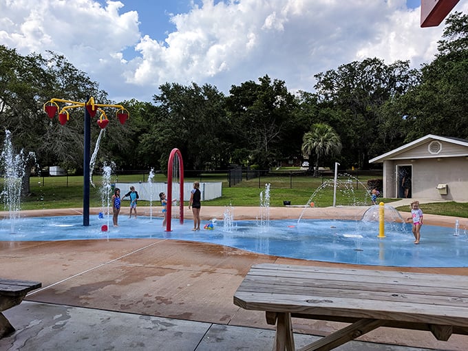 A refreshing shower from above creates an impromptu dance partner for this young splash pad visitor on a hot Florida afternoon.