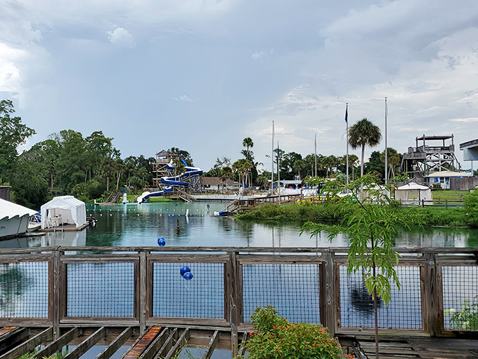 Nature's swimming pool stretches into the distance, where the boundary between recreational area and wild Florida becomes beautifully blurred.