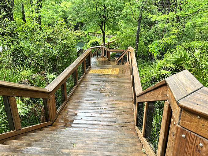 These wooden steps aren't just access to water&mdash;they're the threshold between ordinary life and liquid magic.