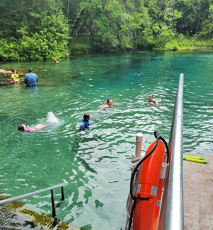 Ichetucknee Springs' headspring creates a perfect blue pool surrounded by a natural Florida landscape.