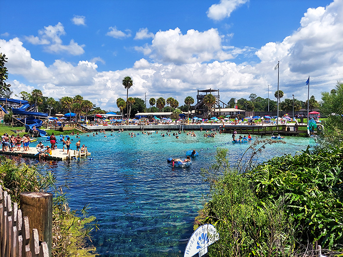 Weeki Wachee's famous spring-fed swimming area bustles with activity, as visitors enjoy the crystal-clear waters and water slides.