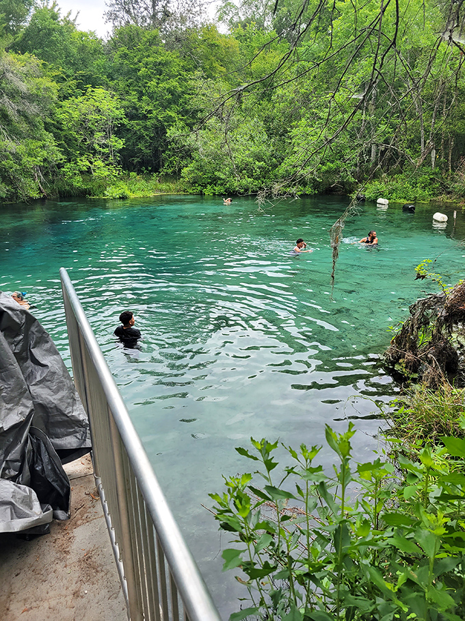 A perfect day at the springs, where crystal-clear water, cool swims, and peaceful nature come together.
