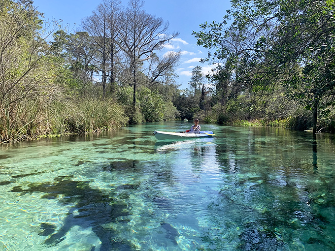 The emerald waters of Weeki Wachee Springs invite kayakers to paddle through a pristine Florida waterway surrounded by lush vegetation.