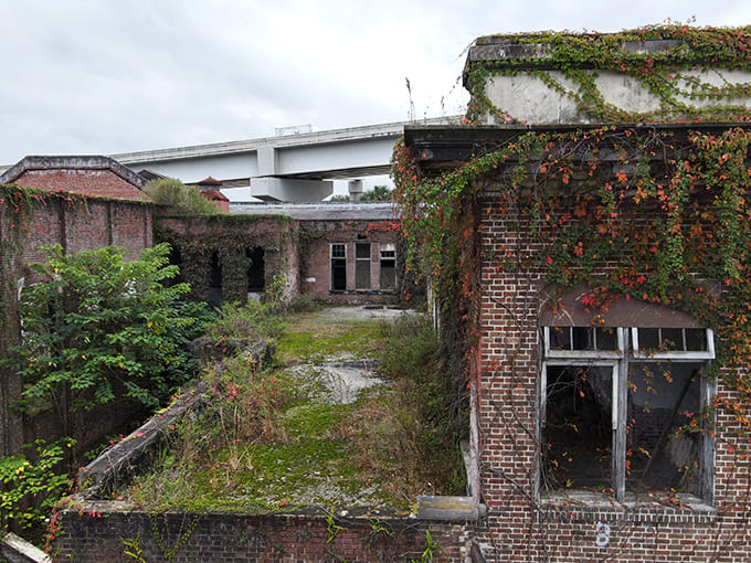 Vegetation claims the rooftop like it's planting a flag, nature's patient victory over human construction playing out in slow motion across decades.