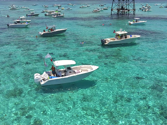 Boats gather around the lighthouse like it's hosting the world's best pool party, which isn't far from the truth given what's happening underwater.