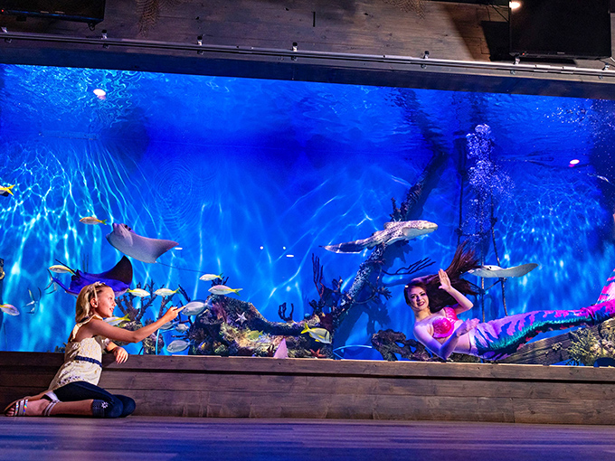 Aquatic ballet meets mythological theater as performers create underwater stories that speak fluently in the language of bubbles.