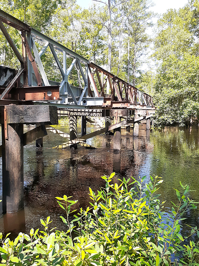 This weathered bridge spans more than water &ndash; it connects modern visitors to old Florida, telling silent stories of loggers, fishermen, and wanderers past.