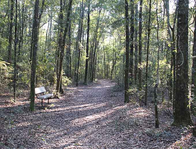 Trail-side benches provide rest stops for those who need to catch their breath, though the elevation gain suggests that's more about enjoying the scenery than actual exhaustion.
