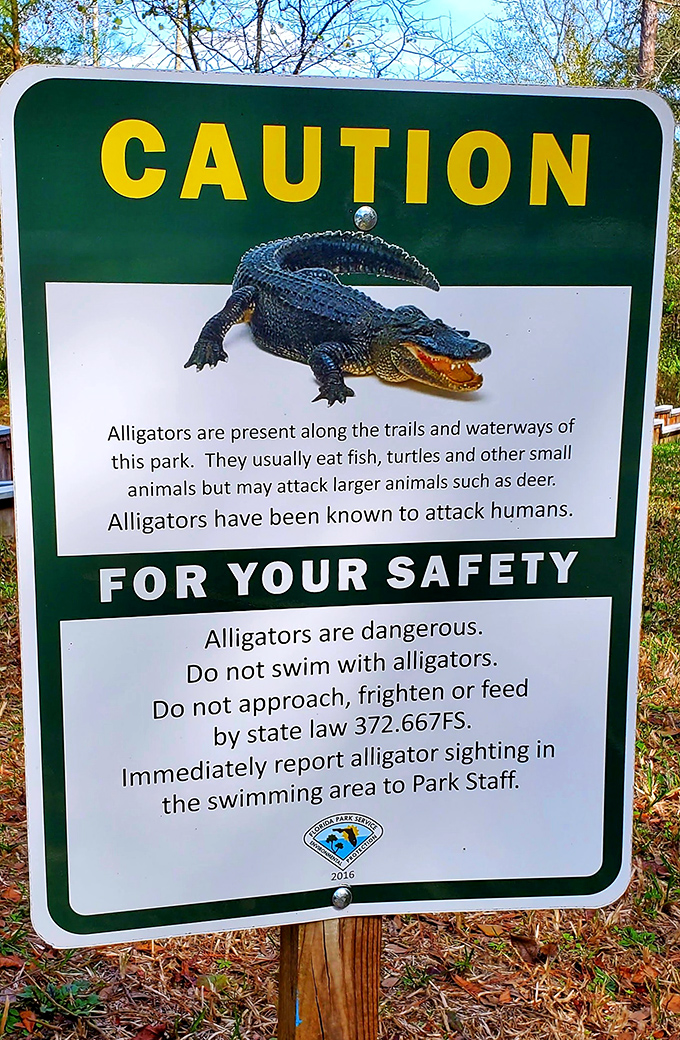 The alligator warning sign &ndash; nature's way of saying "we were here first" and "that's not a floating log, folks."