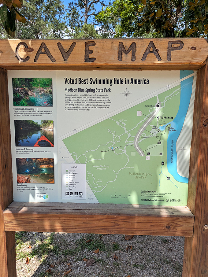 The cave map reveals an underwater world that certified divers travel continents to explore, hidden beneath the spring's innocent surface.