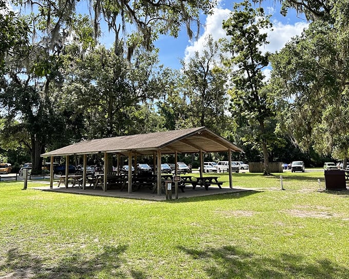 This isn't just a picnic shelter &ndash; it's Florida's original conference room, where families gather to discuss important matters like "who gets the last cookie."