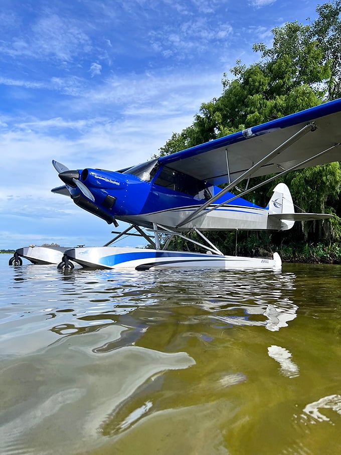 12. cubcrafters carbon cub